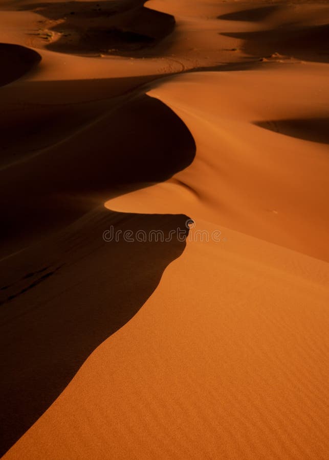 Vertical View of Sand Dunes with Gentle Curves and Interplay of Light ...