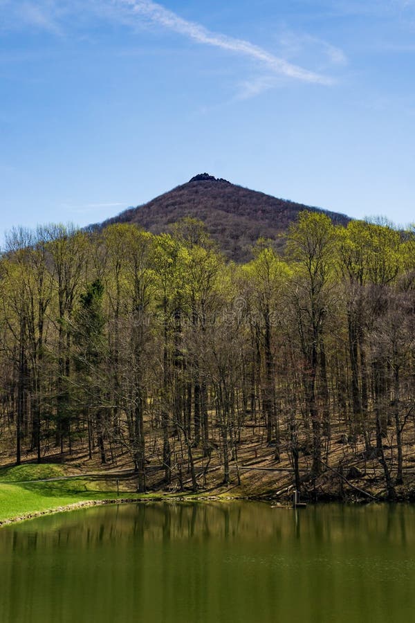 A Vertical View of Sharp Top Mountain from Abbott Lake Stock Image ...