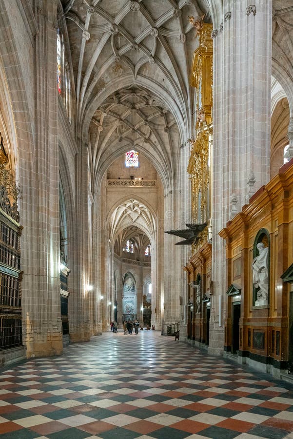 Vertical View of the Side Nave of the Segovia Cathedral Editorial Image ...