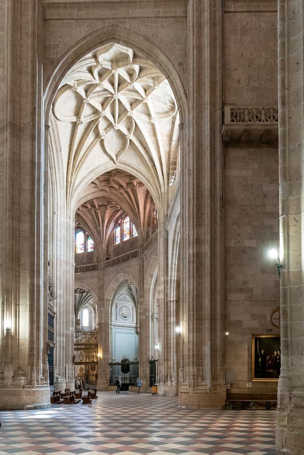 Vertical View of the Side Nave of the Segovia Cathedral Editorial Stock ...
