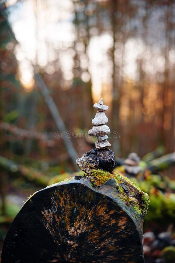 Vertical View of the Stacks of Rocks on Log in Forest Stock Image ...