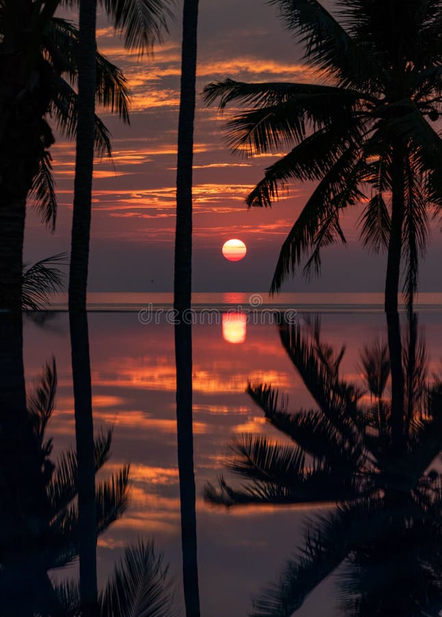 Vertical View of a Sunset Reflecting on a Water with Silhouettes of ...