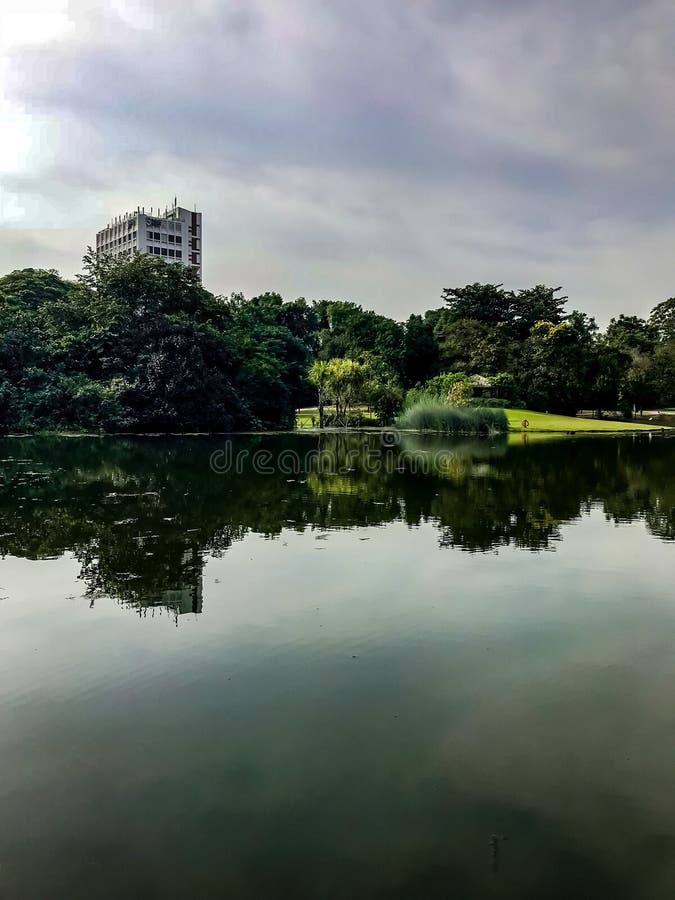Vertical View of Trees and Cloudy Sky Reflecting in the Water of a Lake ...