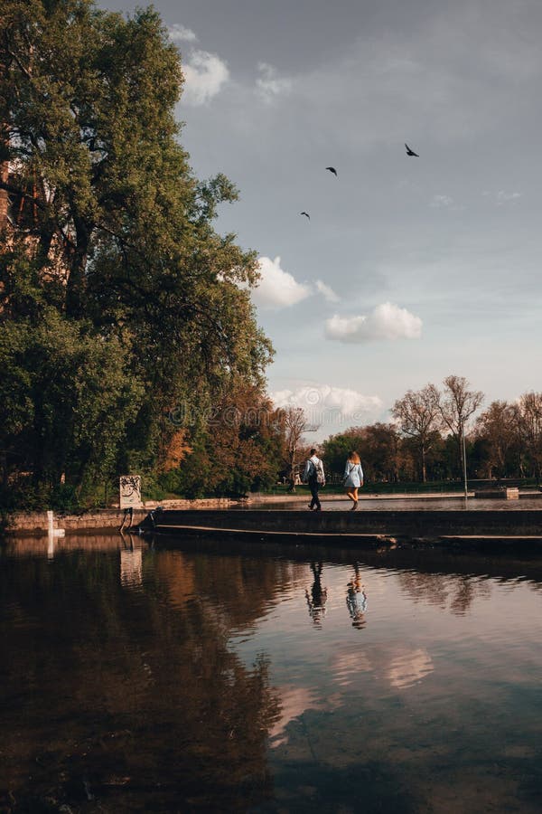 Vertical View of Trees and People Reflecting on the Water of a Pond in ...