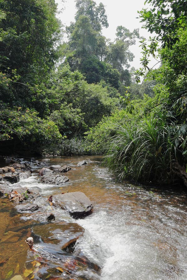 Vertical View of a Tributary River Water Flows between the Rocks Stock ...