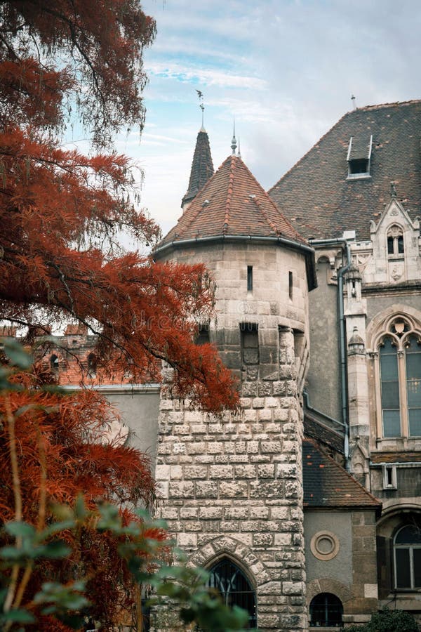 Vertical View of the Vajdahunyad Castle, Budapest Stock Photo - Image ...