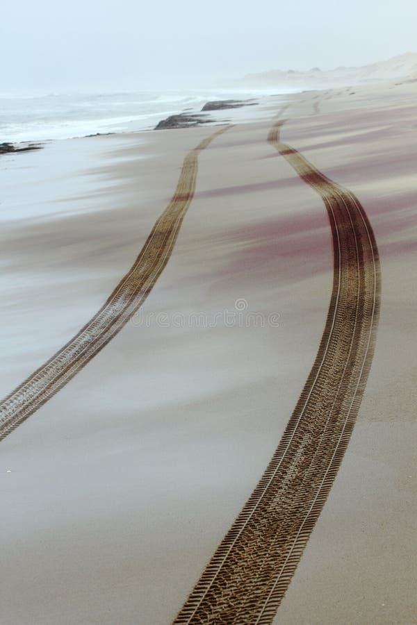 Vertical View of a Vehicle Track on the Sandy Coastline in the Morning ...