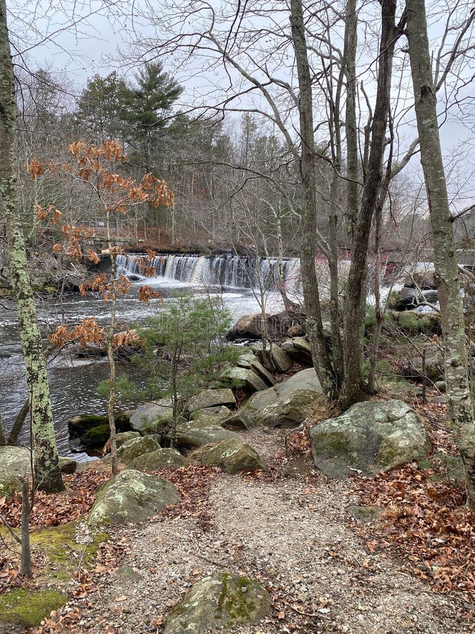 Vertical View of Water Cascading Down a Waterfall in a Forest Stock ...