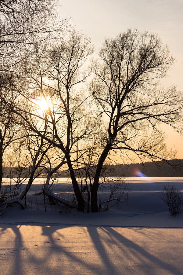 Vertical View of Winter Landscape during Sunset Stock Photo - Image of ...