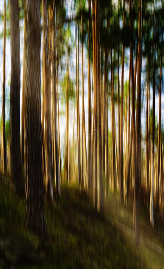 Vertical Vivid Motion Tree Landscape with Light Leak Abstraction Stock ...