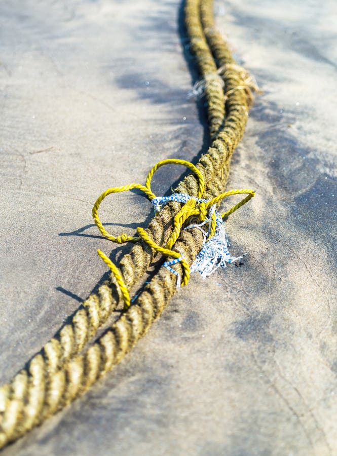 Vertical Vivid Yellow Rope on the Sand Beach Stock Image - Image of ...