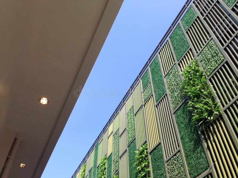 Vertical wall garden stock photo. Image of tree, wall - 48795458