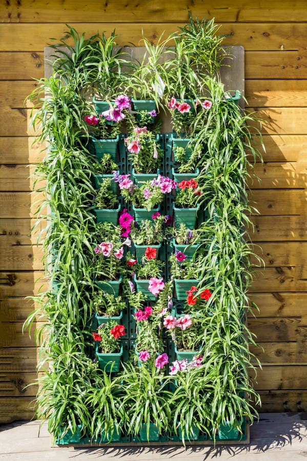 Vertical wall garden stock image. Image of space, exterior - 74080875