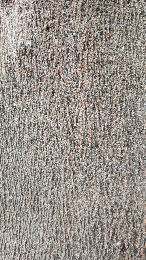 16:9 Vertical Wallpapers, Wood Textures, Tree Bark, Natural Wood ...