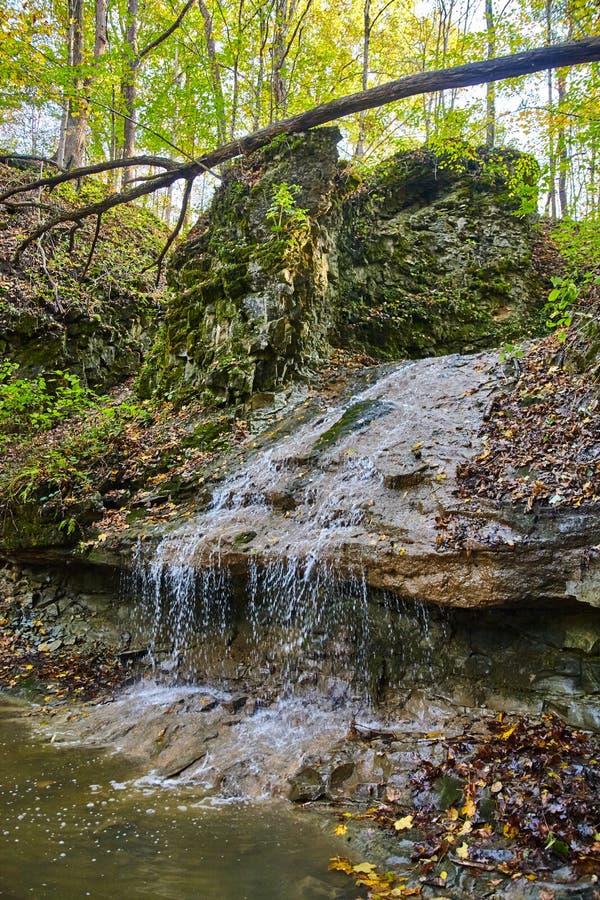 Waterfall Dripping Down Slope into Muddy Water with Fall Leaves and ...