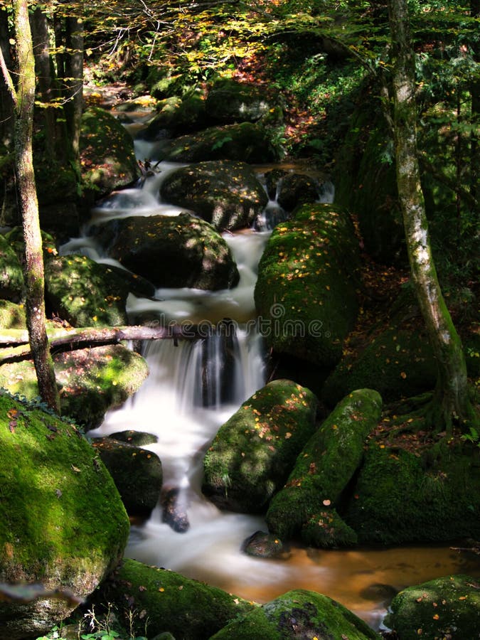 Vertical of a Waterfall Flowing through Mossy Rocks in a Forest in Bad ...