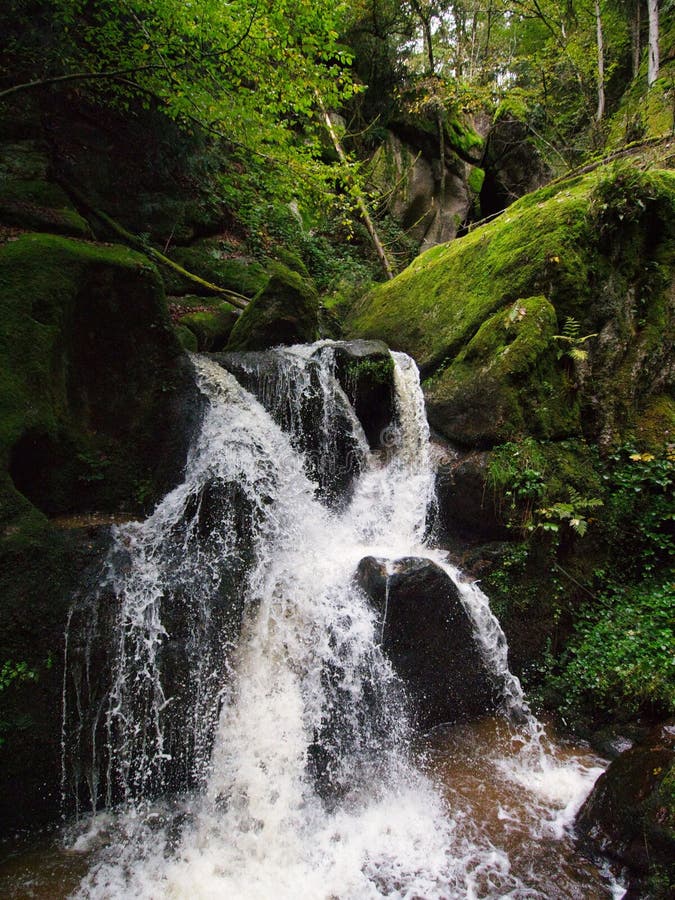 Vertical of a Waterfall Flowing through Mossy Rocks in a Forest in Bad ...