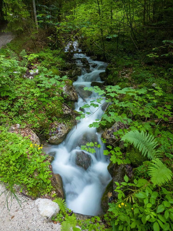 Vertical of a Waterfall Flowing through Rocks in a Green Forest Shot in ...