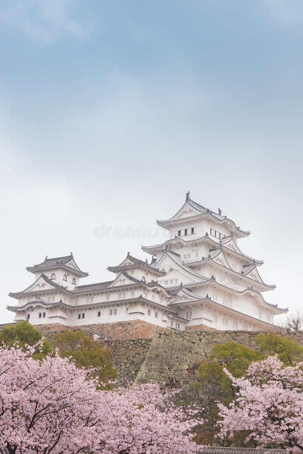 Vertical White Castle Himeji Castle in Cherry Blossom Stock Image ...