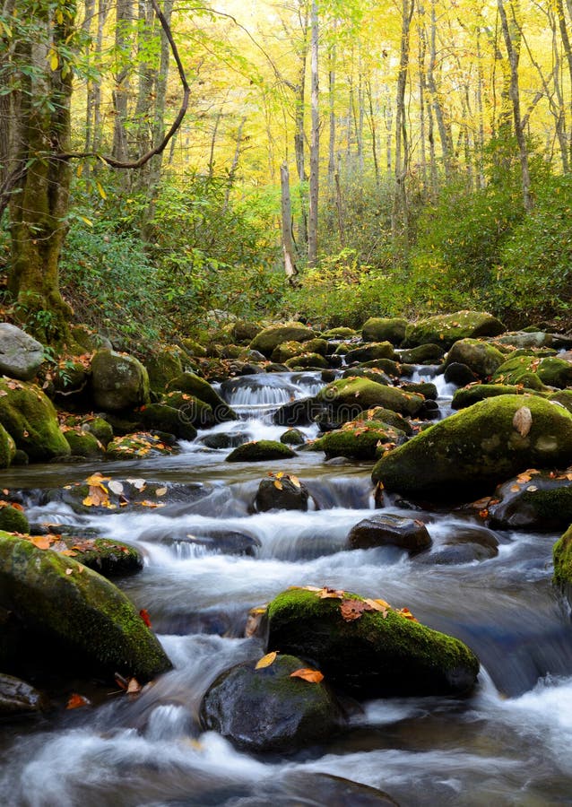 A Small Creek in the Smokies in Fall Colors. Stock Photo - Image of ...