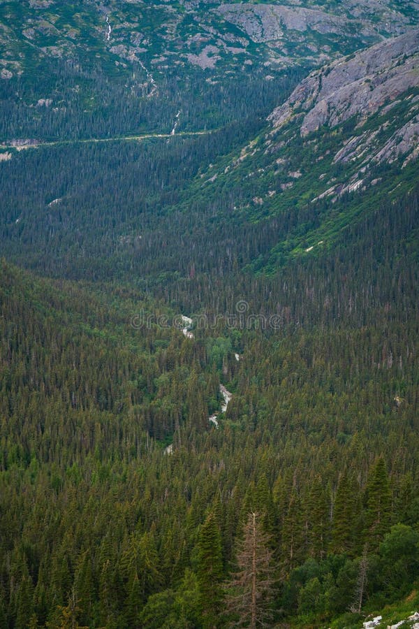 Vertical Wide Capture of Alpine Landscape with a River Running through ...