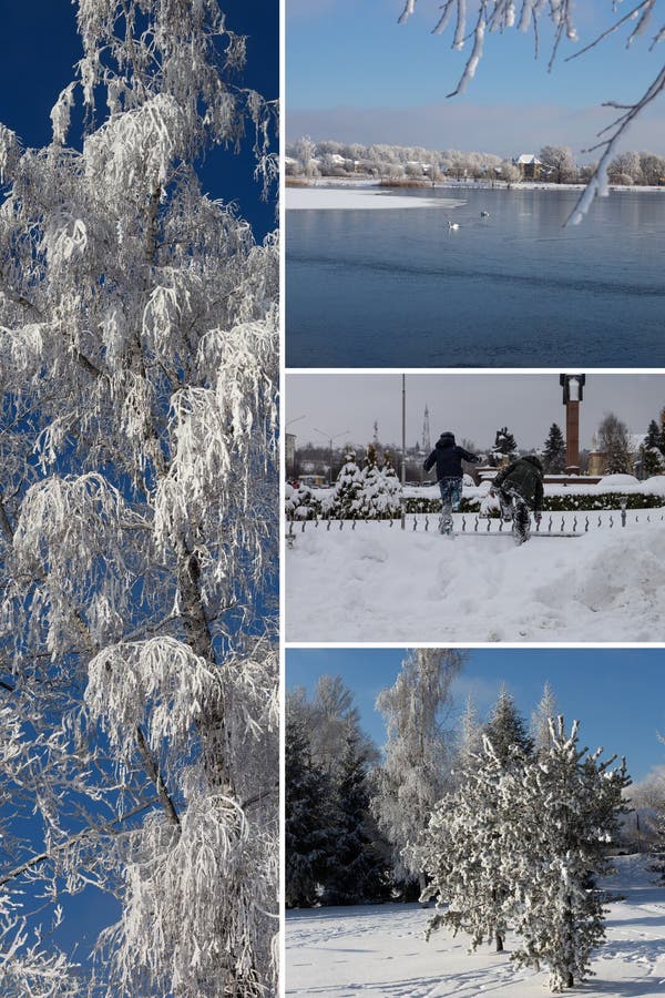 Vertical winter collage. stock photo. Image of frost - 264097646
