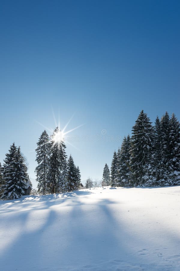 Vertical Winter View of the Stairs Leading To the Front Porch of a Home ...