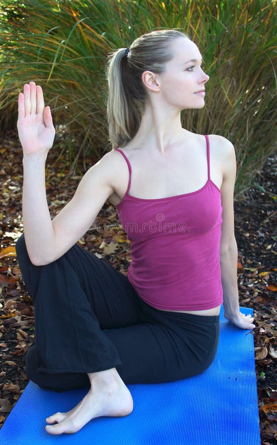 Verticale De Forme Physique Photo stock - Image du pose, exercice: 7306032