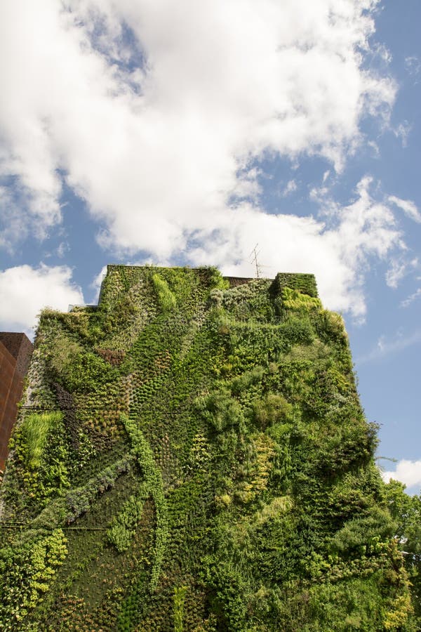 Verticale Muurtuin in Madrid, Spanje Stock Afbeelding - Image of ruimte ...