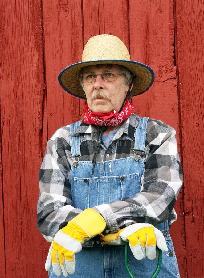Verticale Verticale De Main De Ferme Photo stock - Image du gants ...