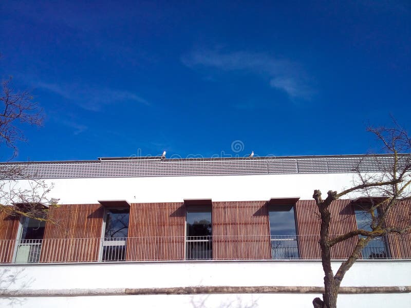 Vertical Windows - Architecture and Sky Stock Image - Image of branches ...