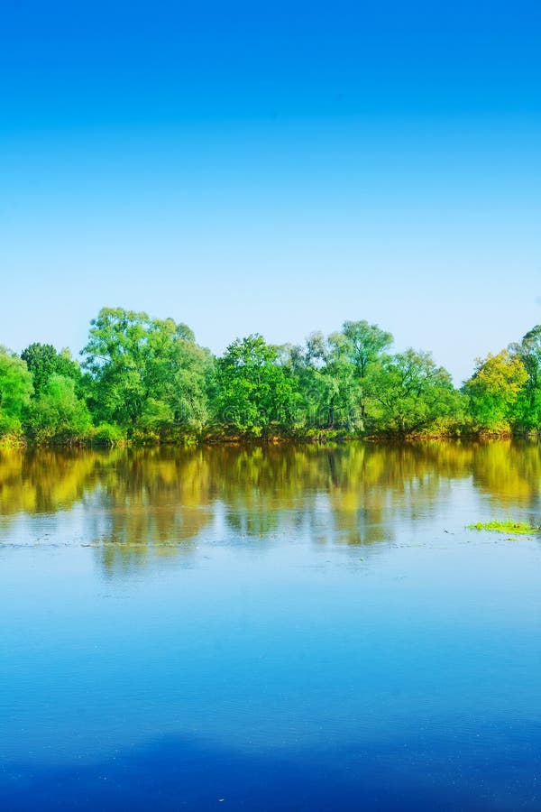 Riverscape arkivfoto. Bild av liggande, träd, oklarheter - 19432442