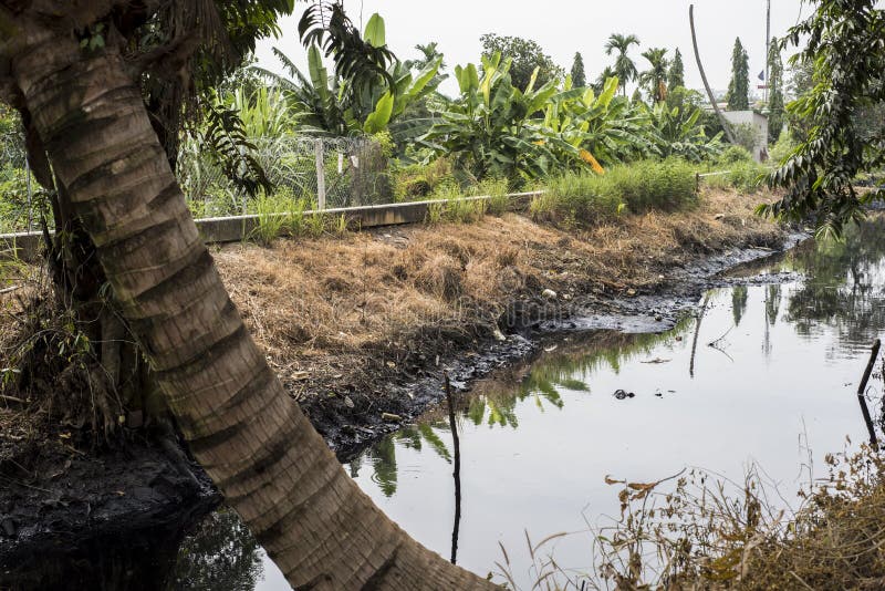 Ein Fluss Verunreinigt Mit Abfall Von Einer Nahe Gelegenen Fabrik ...