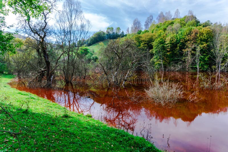 Vervuild water stock foto. Image of sterven, chemisch - 79119534