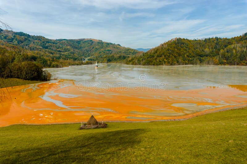 Vervuild water stock afbeelding. Image of dood, openlucht - 79119561