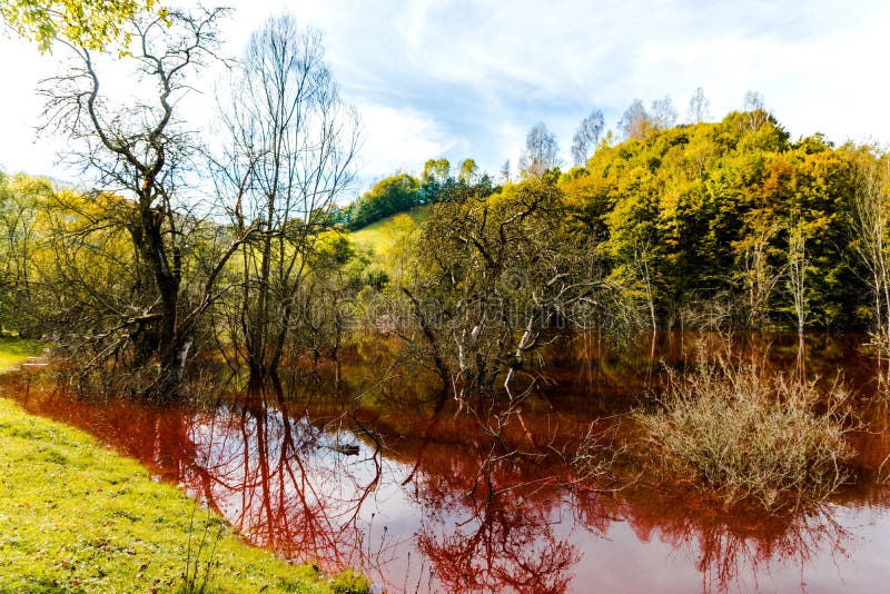 Vervuild water stock foto. Image of sterven, chemisch - 79119534
