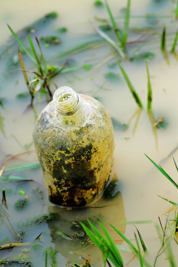 Rivierwater vervuild stock foto. Image of ecologie, vuil - 24230682