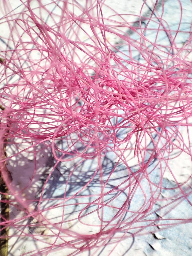 Very Abstract and Beautiful Tangled Strings or Ropes Stock Photo ...