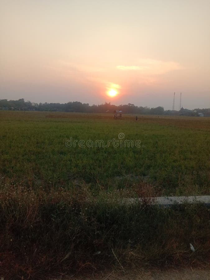 Very Beautiful Afternoon Sun Stock Photo - Image of wvery, beautiful ...