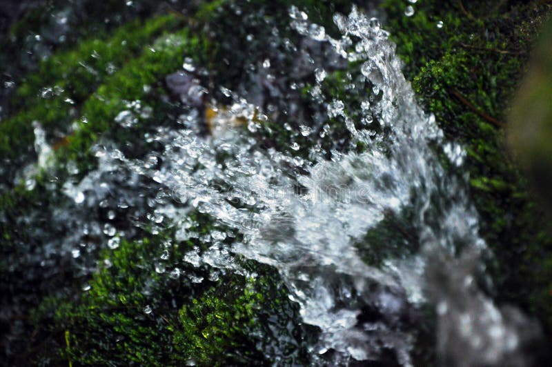 Very Beautiful Artificial Waterfalls with Living Water and Growing Moss ...