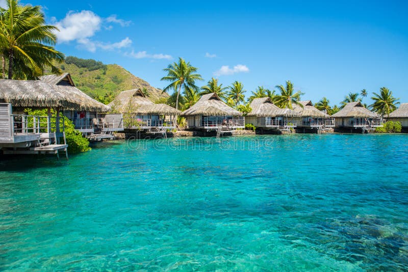 Moorea beach stock image. Image of beach, nature, tropics - 241792381