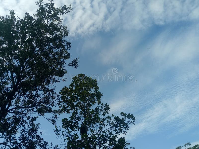 Very Beautiful Blue Sky in the Yard Stock Photo - Image of yard, blue ...