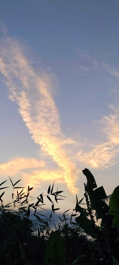 Very Beautiful Clouds Form Flying Birds Stock Photo - Image of flying, clouds: 290548236