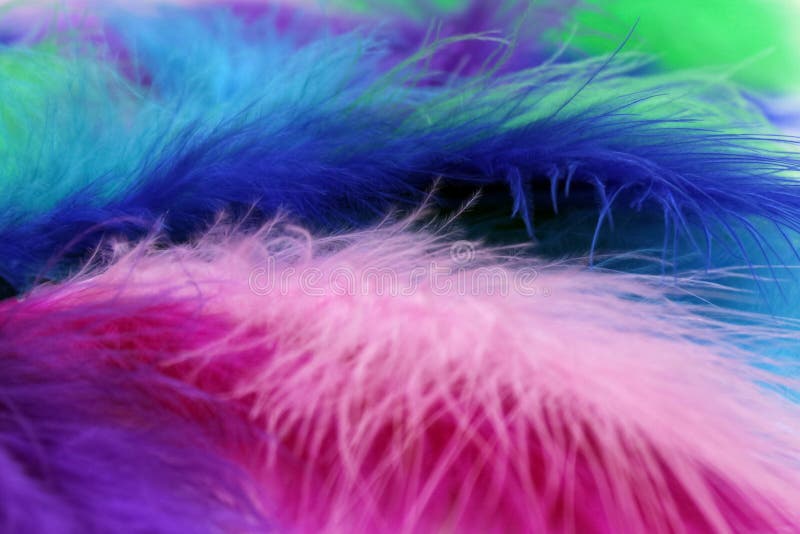 Very Beautiful and Colorful and Fluffy Wallpaper Stock Photo - Image of ...