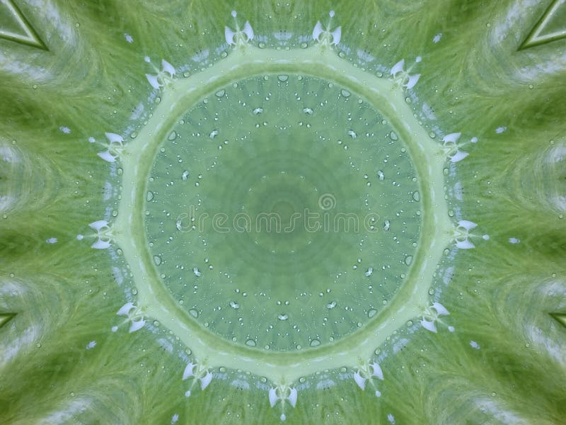 A Very Beautiful Colorful Kaleidoscope Stock Illustration ...