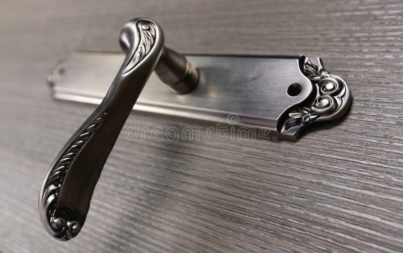 Beautiful and Expensive Accessories for Interior Doors Photo for ...