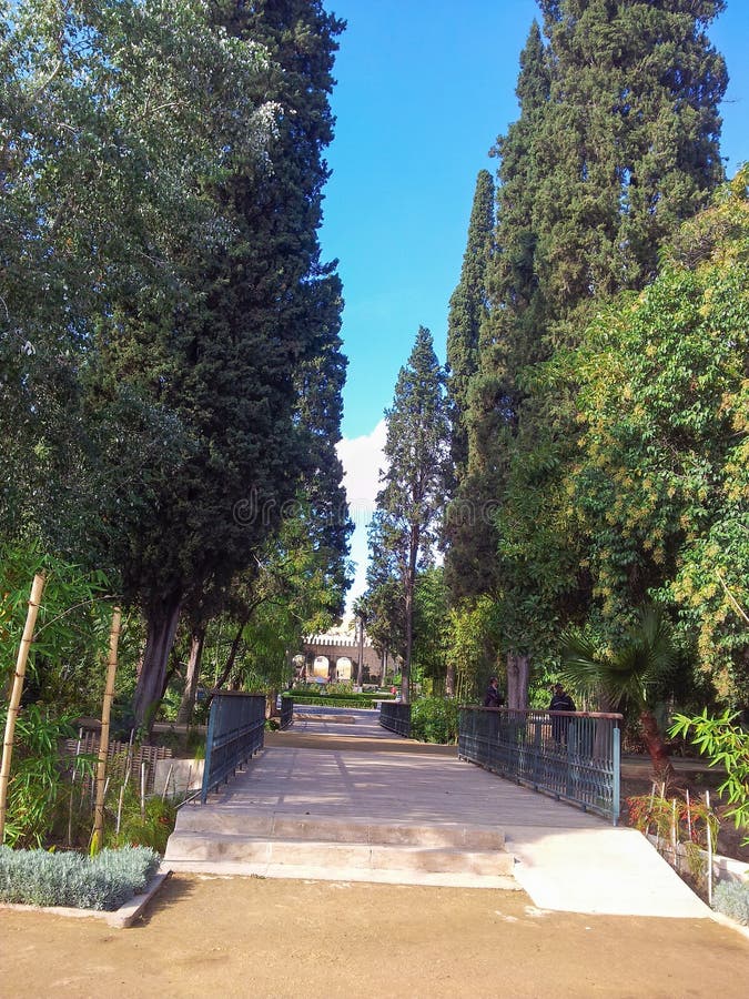 Very Beautiful Garden Full of Greenery Stock Photo - Image of tree ...