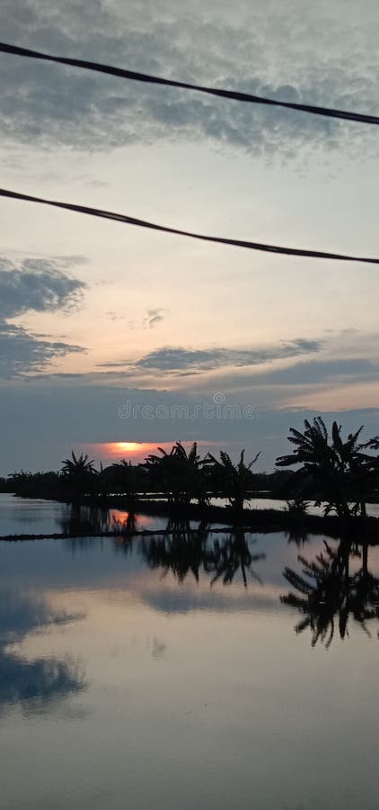 A Very Beautiful Morning in the Rice Fields Stock Photo - Image of ...