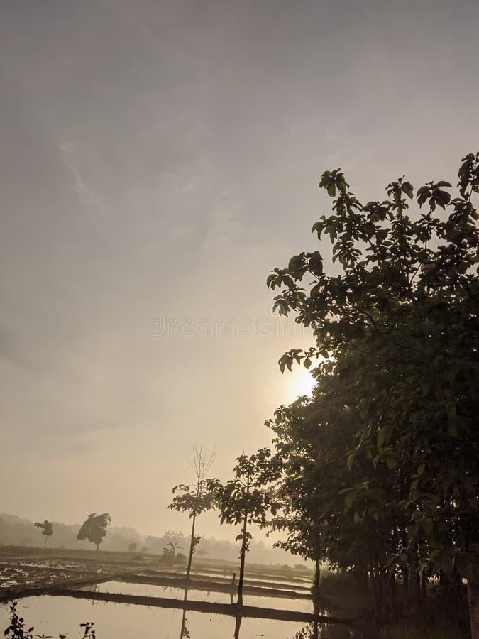 A Very Beautiful Morning in a Village Stock Image - Image of beautiful ...