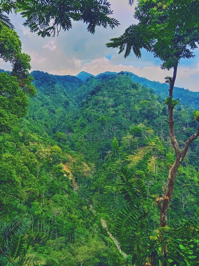 Very Beautiful Mountain and Forest Views Stock Image - Image of ...